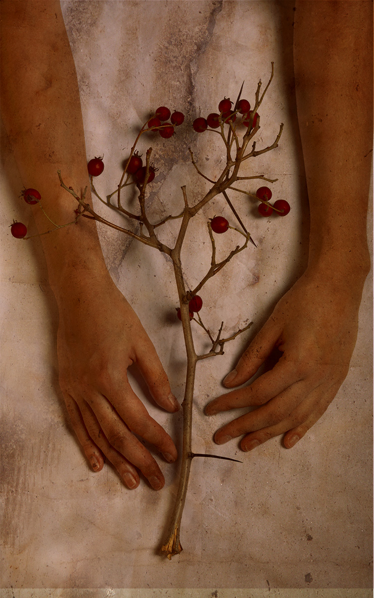 Vladimir Clavijo-Telepnev - Morceaux choisis - Association Korrespondance